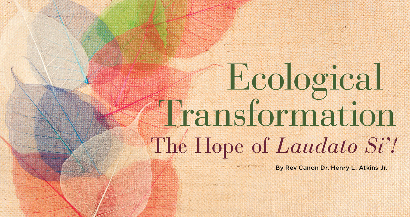 Ecological Transformation – The Hope of Laudato Si’! - Conventual ...