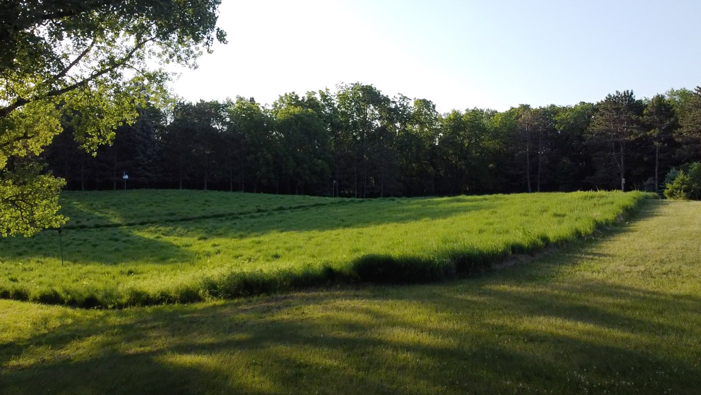 Native Prairie Restoration in Prior Lake - Conventual Franciscan Friars